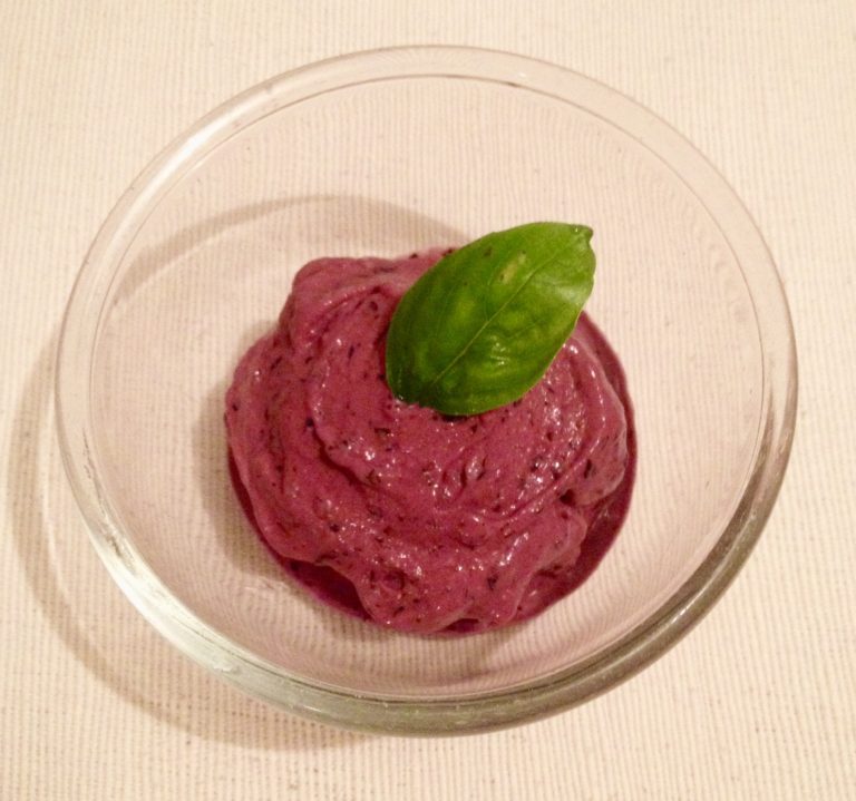 Instant Blueberry 'Gelato' - Fizzifood